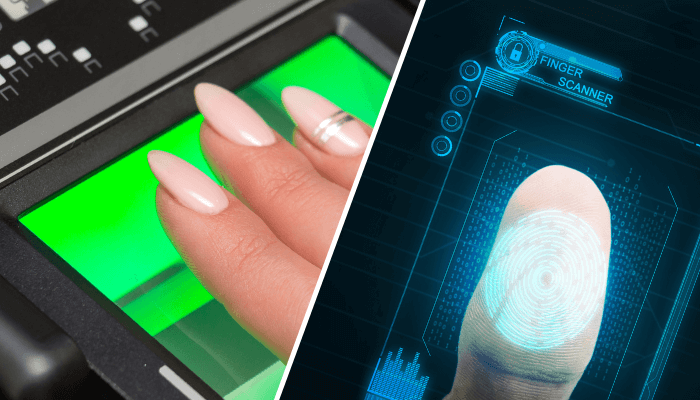 Discover the Difference Between Biometrics and Fingerprint – Certifix ...